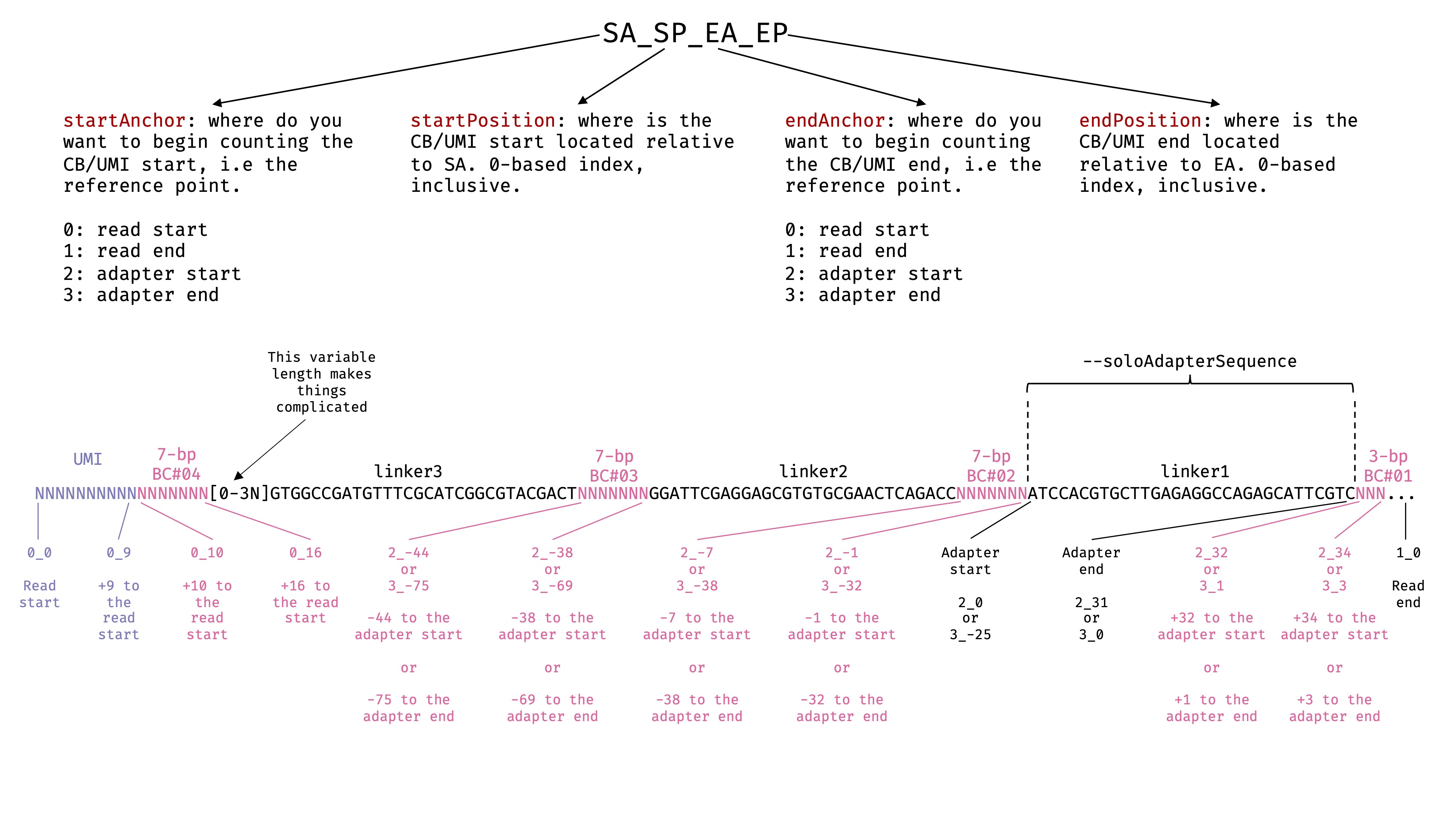 Paired-seq — scg_lib_structs 0.1 documentation